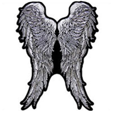 Angel Wings Patch – Cactus Mountain