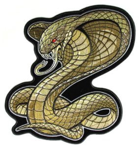 Cobra Snake Patch – Cactus Mountain